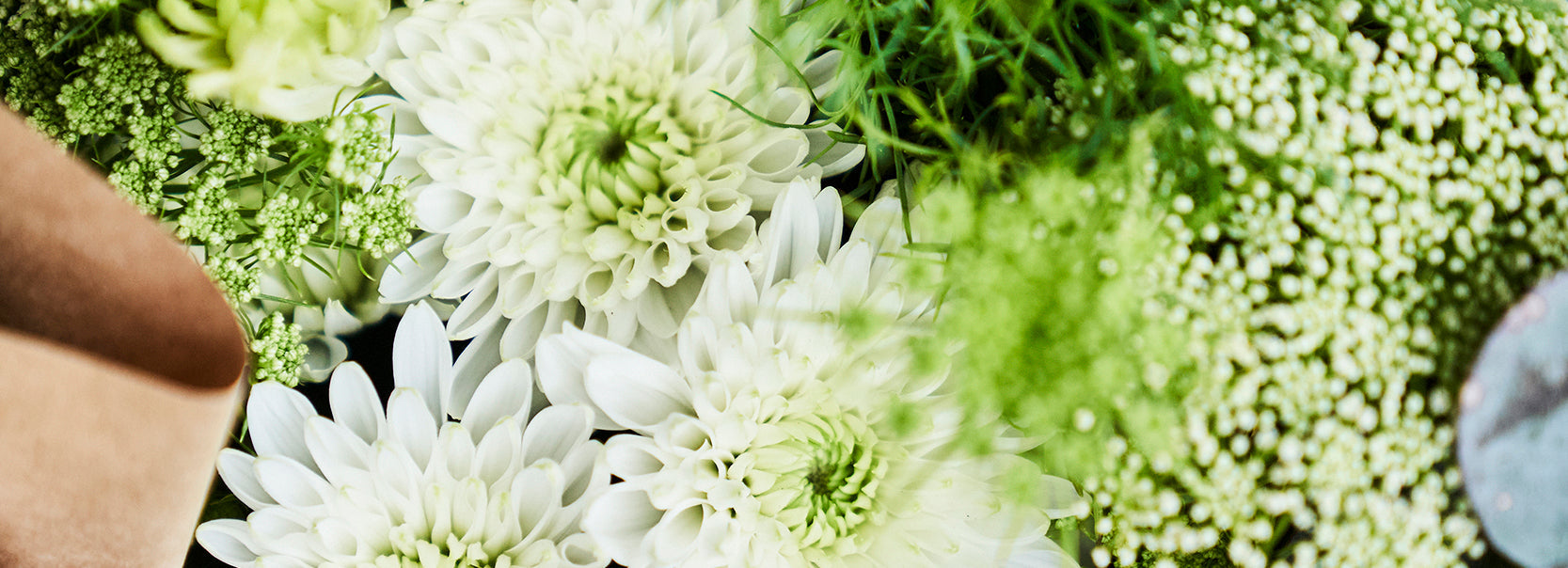 Flowers - Edwards Providore